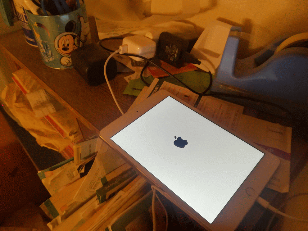 iPad mini 4買いました: Dr.kobaの「森林情報管理学」講座